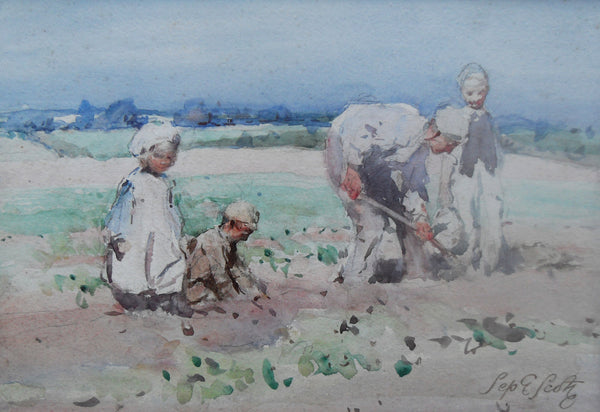 Potato pickers