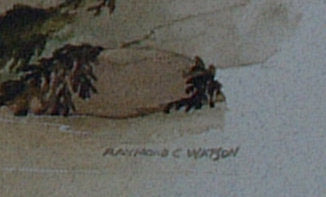 Raymond C Watson was a well respected wildlife artist who excelled in ...