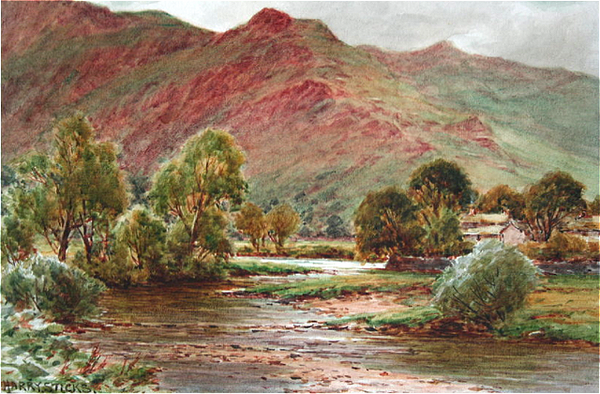 View artist biography