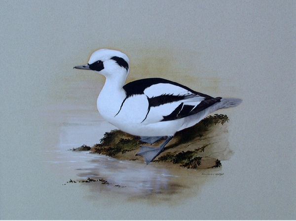 View artist biography