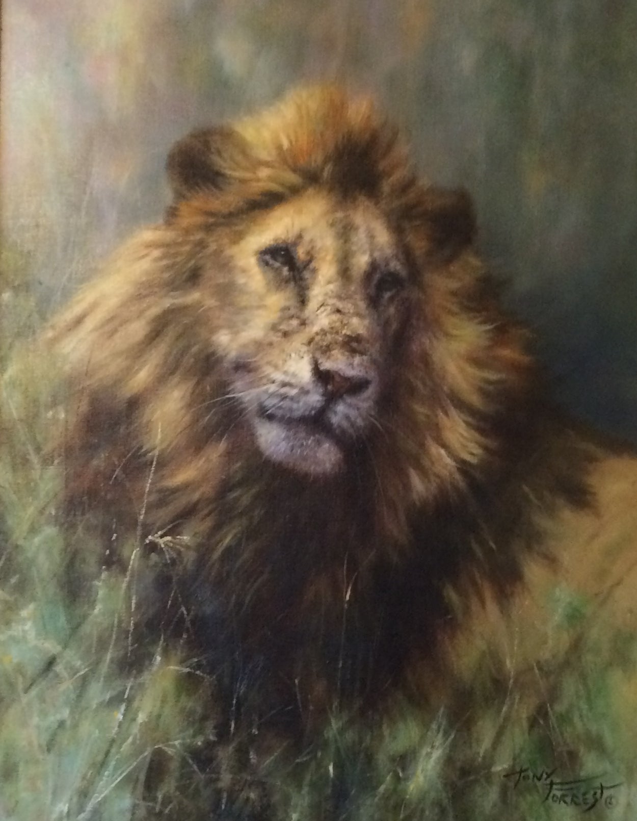 Lion