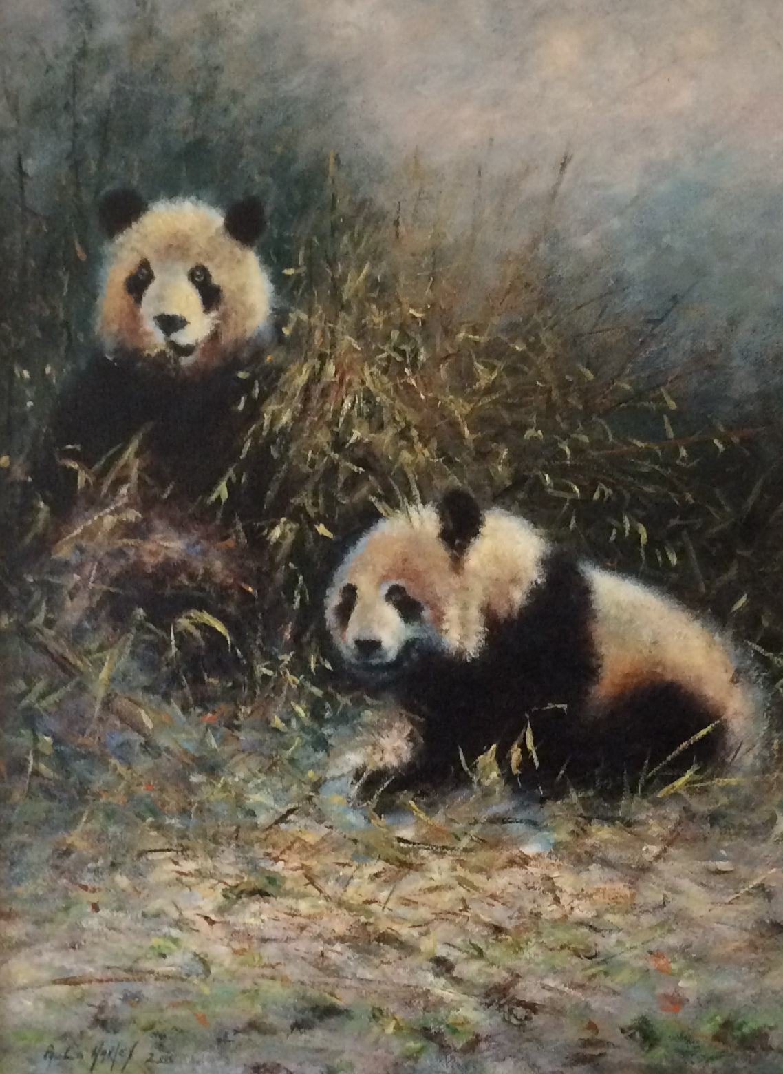 Pandas