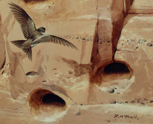 sand_martin_edited-1_600x.jpg?v=1571438502